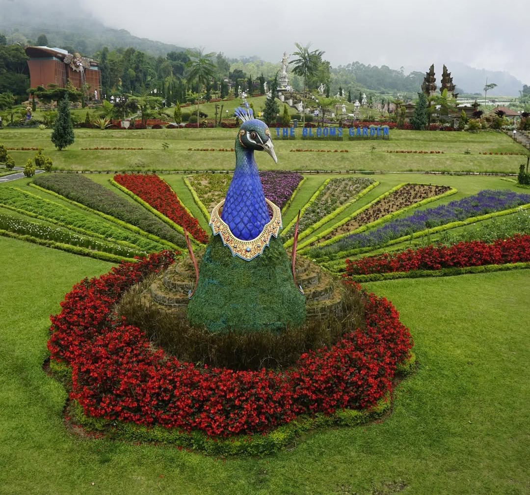 The Blooms Garden, A Scenic Flower Paradise in Bali’s Highlands ...